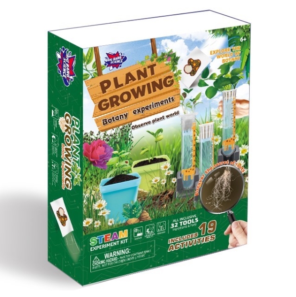 Plant Growing Botany Experiments - Northern Lights Toys